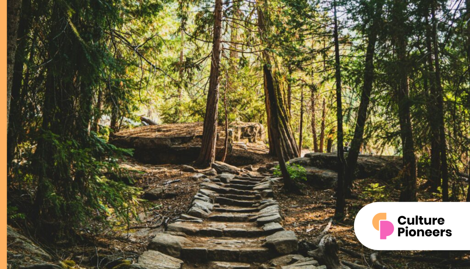 What is Resource Dependence Theory (RDT)? - HRZone