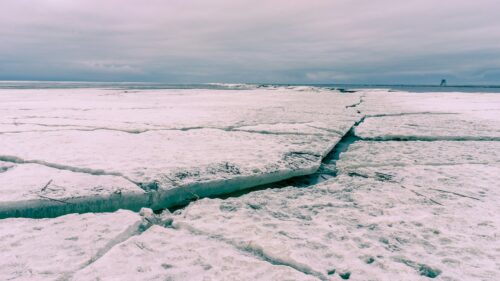 What is Delayering? - HRZone