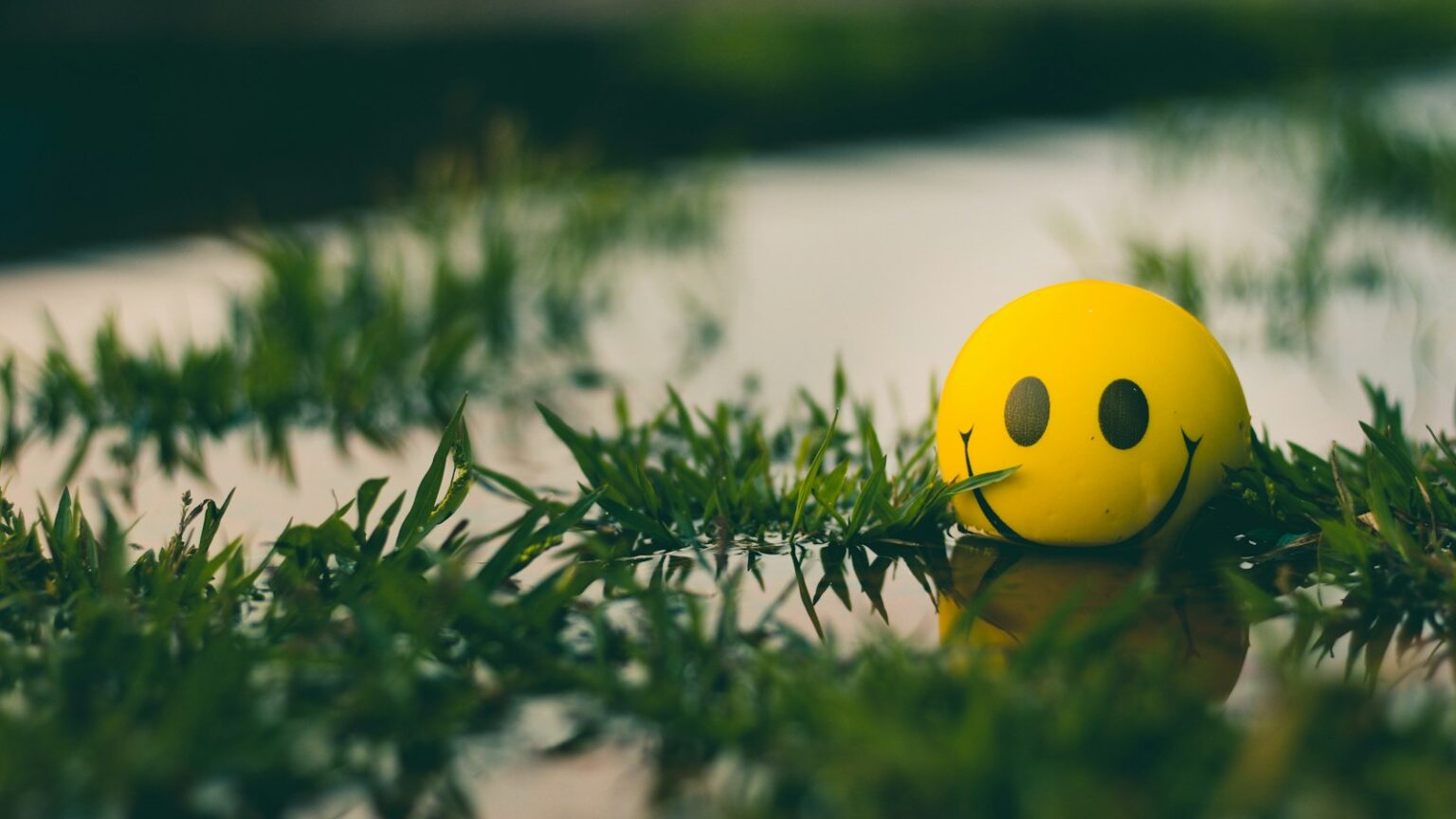 What is a Boundaryless Organization? - HRZone