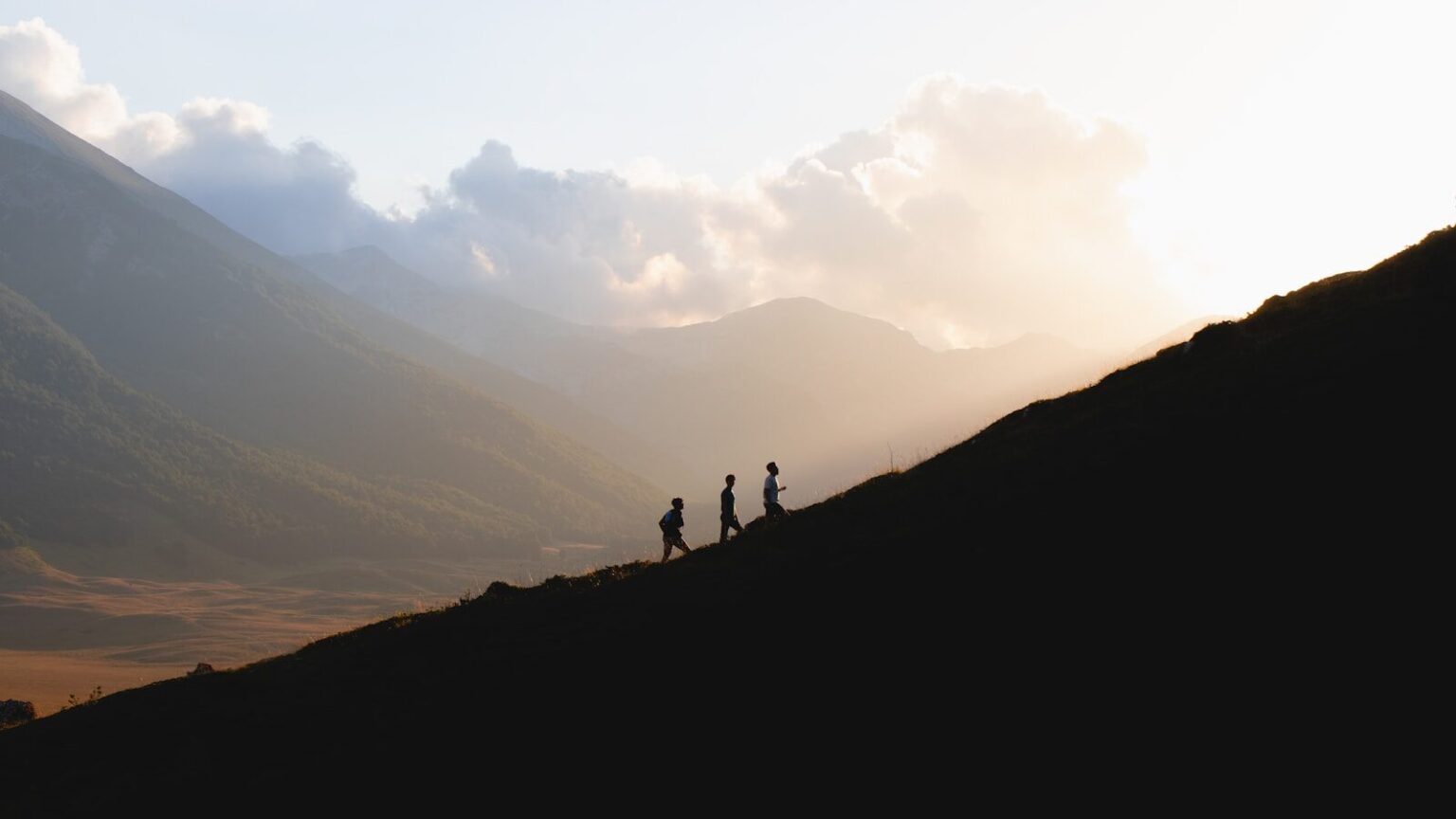 McKinsey's State of Organizations 2026: 75% fail to build high ...